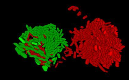 Viewing the E.Coli imbalance dataset in 3D with Python | by Tracyrenee | Python in Plain English