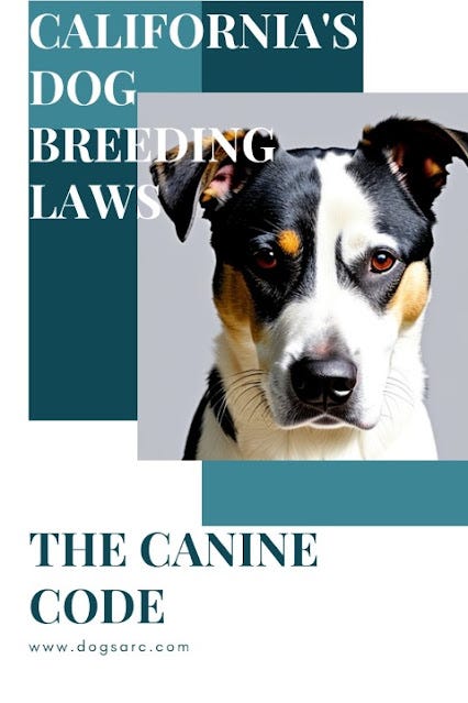 What Are The Laws On Dog Breeding
