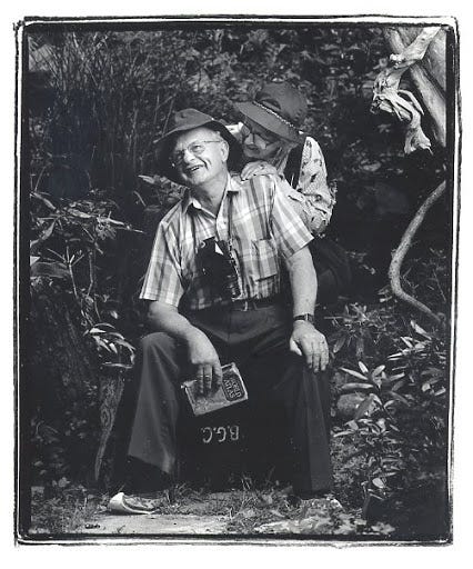 Rosa ‘Constance Spry’ & A Happy Man Makes Me Sad | by alexwh ...
