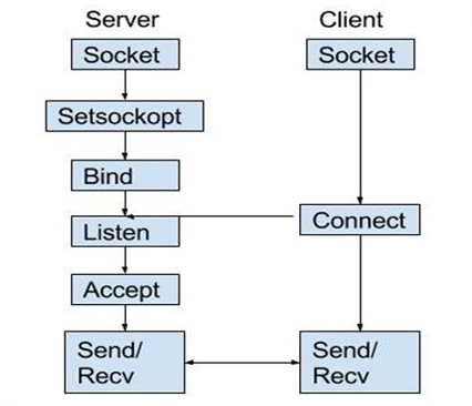 Introduction to Socket Programming | by Genrunic | Mar, 2025 | Medium