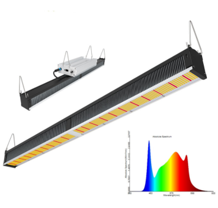 What You Need to Know about LED Grow Lights | by Lily Zhang | Medium