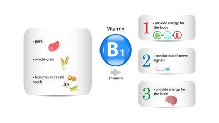 Explain the functions of Vitamin B: Vitamin B isn’t just one vitamin ...
