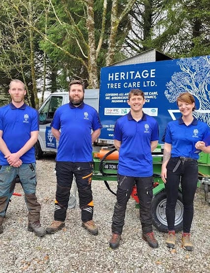 The Importance of Professional Tree Cutting Services in Cork | by ...