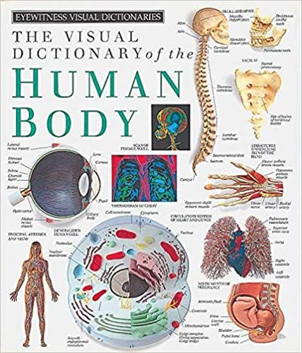 READ/DOWNLOAD!^ Eyewitness Visual Dictionaries: The Visual Dictionary ...