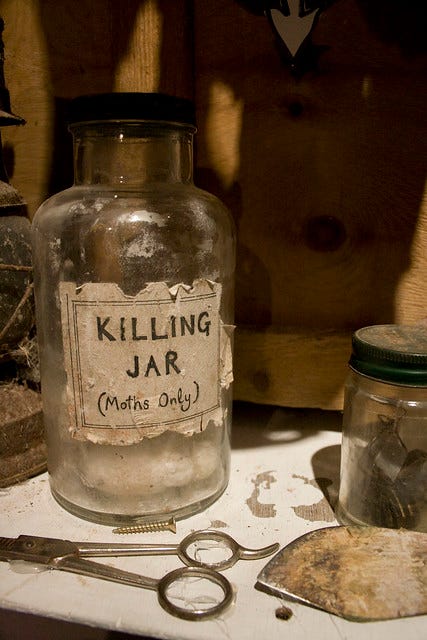 Killing Jar. All of existence is absurd, strange and… | by Frater ...