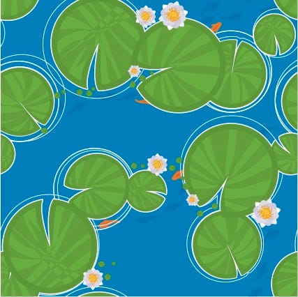 Lily Pads. Why it looks so different from inside… | by Nicholas Ptacek ...