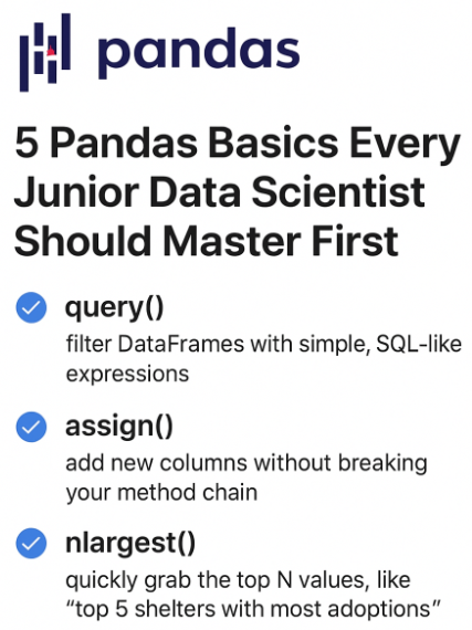 5 Pandas Basics Every Junior Data Scientist Should Master First | by ...