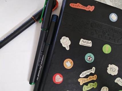Lost my Pen, again.. Have you lost a pen, lately? My pen… | by Vanpriya ...
