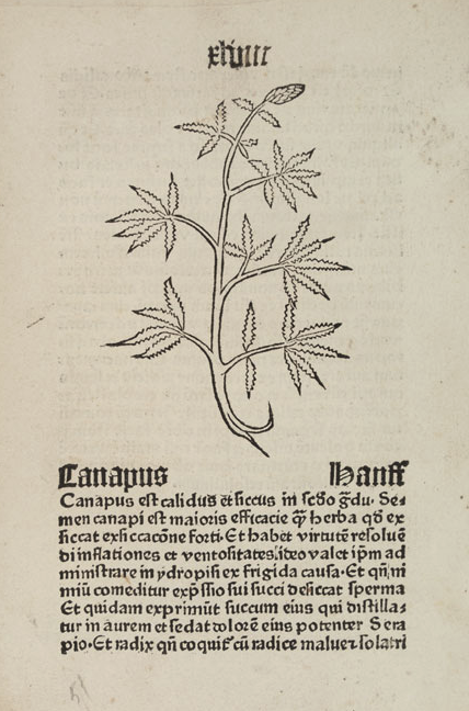1484: Peter Schoeffer publishes Germany’s first press-printed Herbal ...