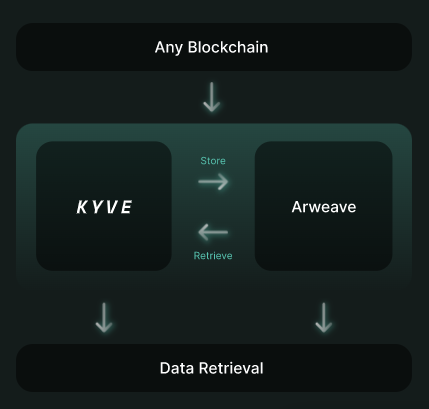 Kyve — Mission Korellia. Проект Kyve-це ініціатива зберігати… | by Dimasik | Medium