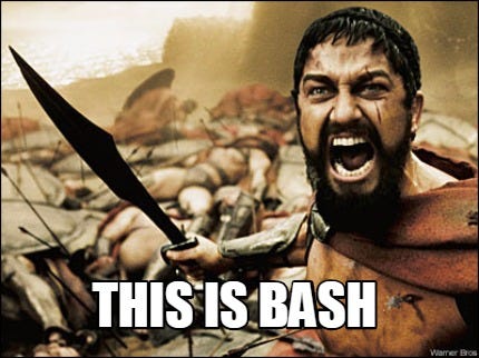 The DevOps Engineer’s Guide to Bash Scripting: A Hilarious Exploration ...