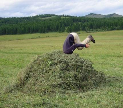 Aiguilles, bottes de foin et living documentation d’un système ...