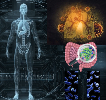 Human — a colony of microorganisms | by Malay Das | Medium