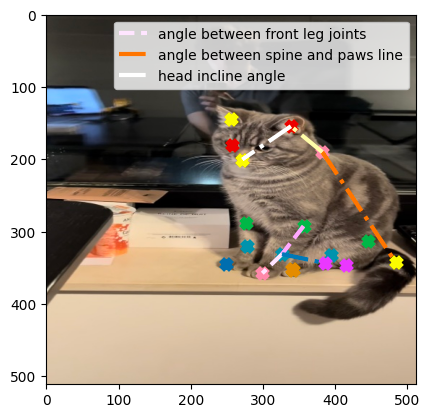 Tracking cat’s movements with TensorFlow in real time | by Alexander ...