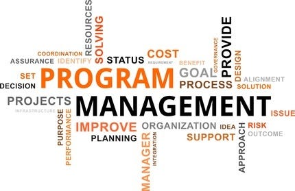 Effective Program Management in IT: Navigating Scope, Effort Estimation ...