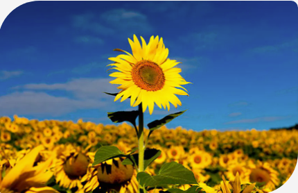 SEC Compliance and WAVE Equity Partners: What You Need to Know? | by ...