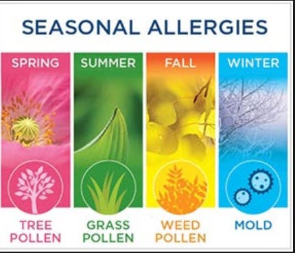 Combat Hay Fever Seasonal Allergies Effectively - Victor Țan - Medium