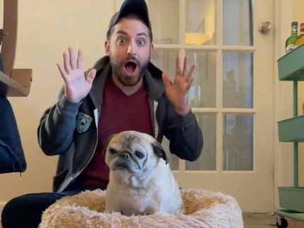 Old Soul, New Love. This week the pug community is mourning… | by ...