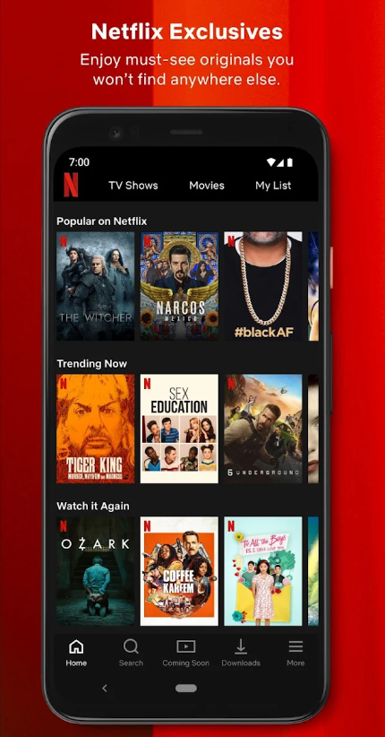 How to get netflix premium for free | by Mostafa Mahmoud | Apr, 2024 ...