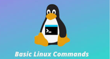 Linux commands for devops 2. There are 3 types of File permission ...