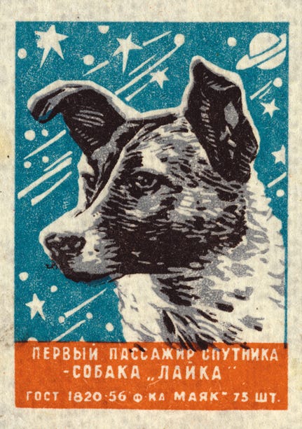 Laika and Her Comrades: The Soviet Space Dogs Who Took Giant Leaps for ...