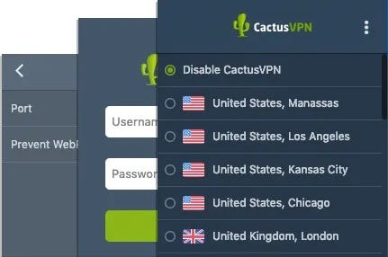 Proxy for Chrome | Cactusvpn.com - Cactus VPN, Inc. - Medium