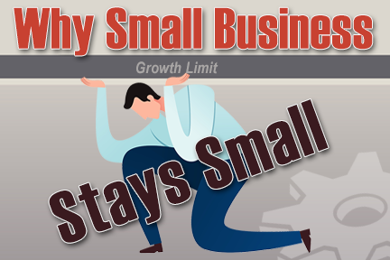What's limiting growth in some Small Businesses Scaling exponentially ...