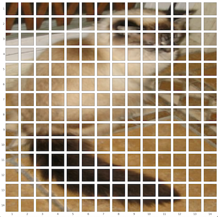 Paper With Code: Vision Transformer with PyTorch — Part 1-Create Embeddings | by Lexi Base | Jan ...