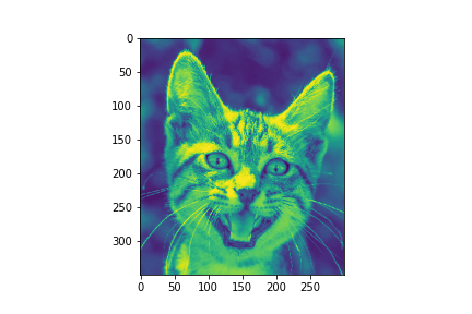 Part 2 — PyTorch Workers: Tensors | by Data Science Earth | Data ...