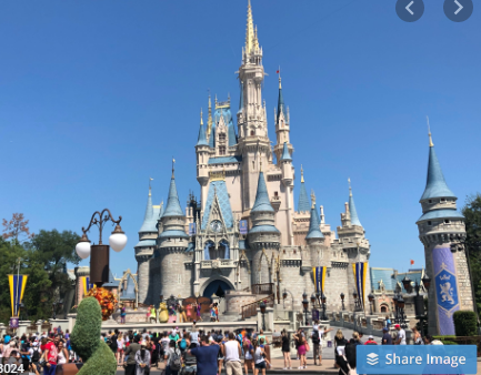What Businesses Can Learn From Disney Theme Park Operations | by Mike ...