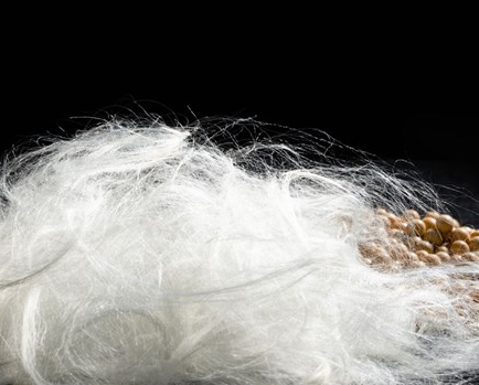 What foods contain soy fiber?. Soy-rich foods are a good choice if you ...