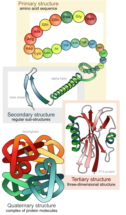 AlphaFold 3 - A Generative AI Model to predict 3D structure of ...