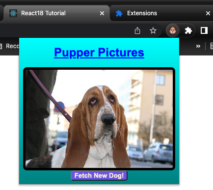 Random Dogs Chrome Extension. My first Chrome extension was a… | by Ben ...