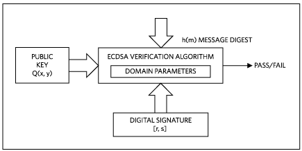 How does ECDSA signature verification work? | by Jerry Gao | Medium