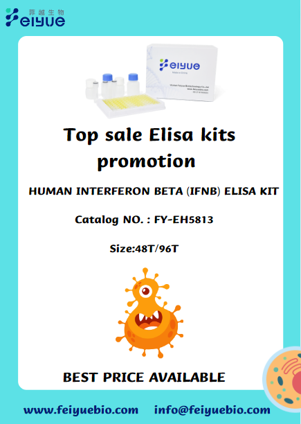 Human Interferon Beta (IFNb) ELISA kit - feiyuebio Agnes - Medium