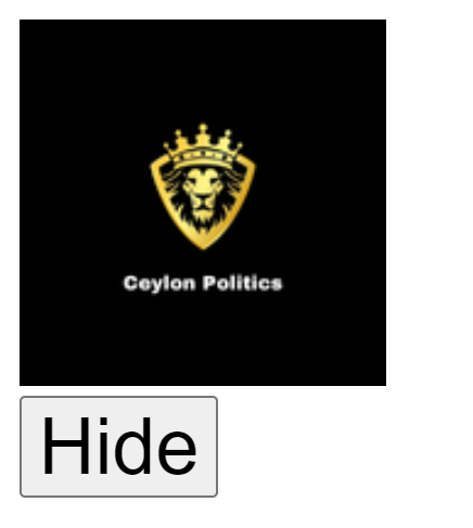 Show and Hide Element in JavaScript | Example | by Chamod Dilshan 😎 | Jul, 2024 | Medium