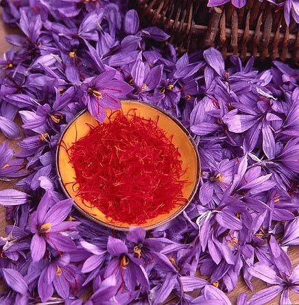 What is Saffron and Saffron Oil? Benefits and Uses | by Art of Vedas ...