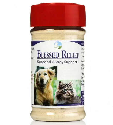 Blessed Relief. Blessed Relief:- Blessed relief takes a… | by Vitality Science | Medium