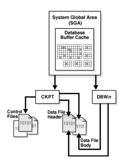 Major Oracle Databases Background Processes By Sudip Acharya Medium