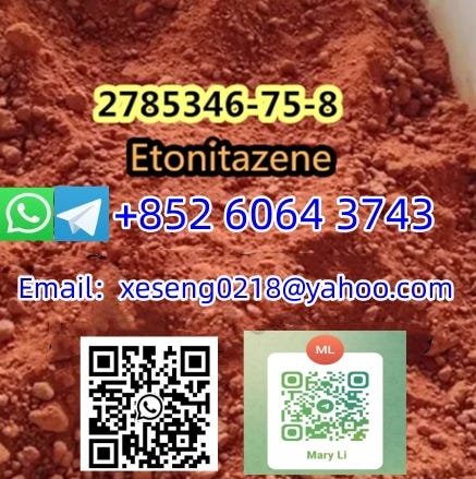 Product Name: Etonitazepyne CAS No.: 2785346–75–8 Molecular Formula ...