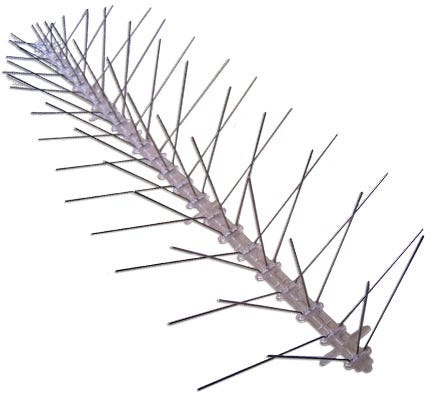 Bird Spikes. Bird Spikes from Prompt Pest Control… | by Prompt Pest ...