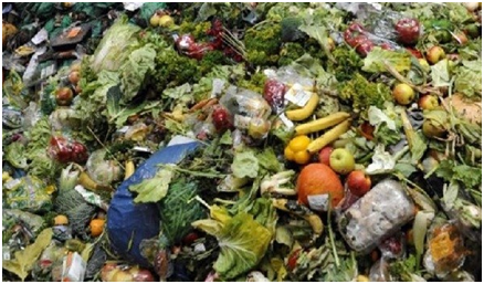 Habiskan Makananmu!. Sobat tahukah kamu tentang food waste… | by ...