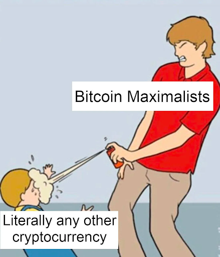 Bitcoin Maximalism and Web3 Minimalism | by Porter Weisberg | Coinmonks ...