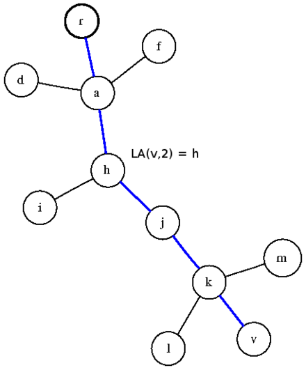 Level Ancestor Problem. During my algorithmic courses in… | by Vaibhav Sharma | Medium