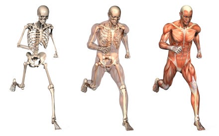 5 Body Parts You Can Live Without | by Jenna Murrell | Medium