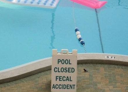 The turd in the pool. Someone once shared the analogy of a… | by Emily ...