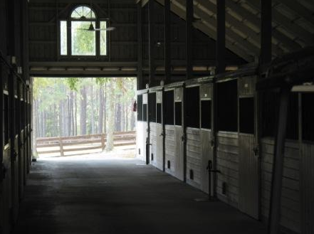 I Miss The Smell of A Barn. Those of you who have experience in a… | by ...