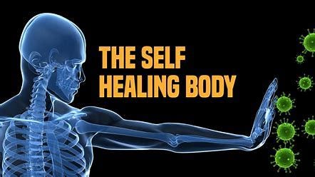 The Body Is Self Healing. Sounds crazy right, the body knows how… | by ...