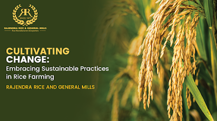 Cultivating Change: Embracing Sustainable Practices in Rice Farming ...