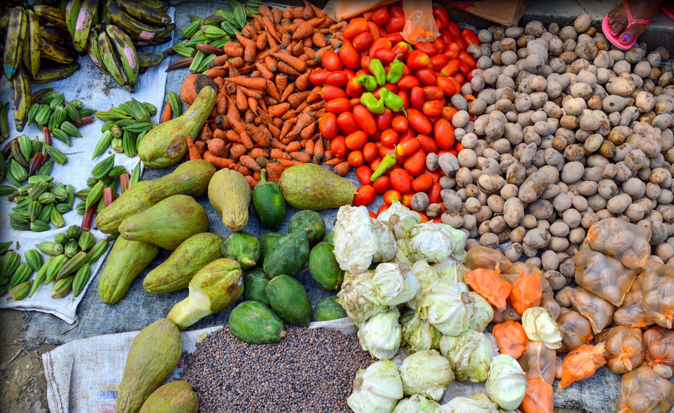 Fruits That Are Grown In Haiti